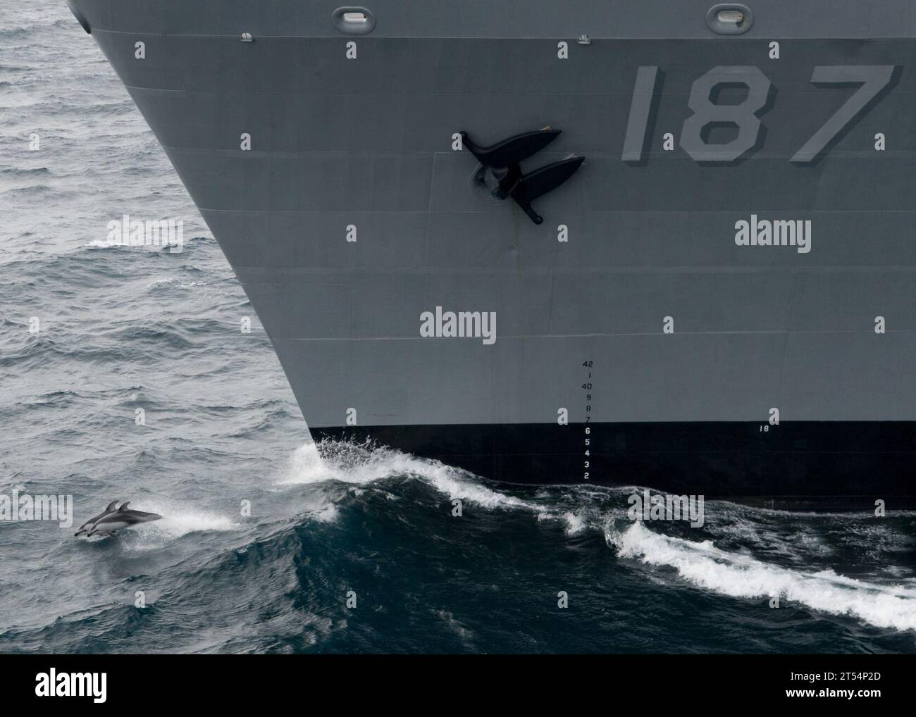 dolphin, environment, Military Sealift Command fleet replenishment oiler USNS Henry J. Kaiser (T ...