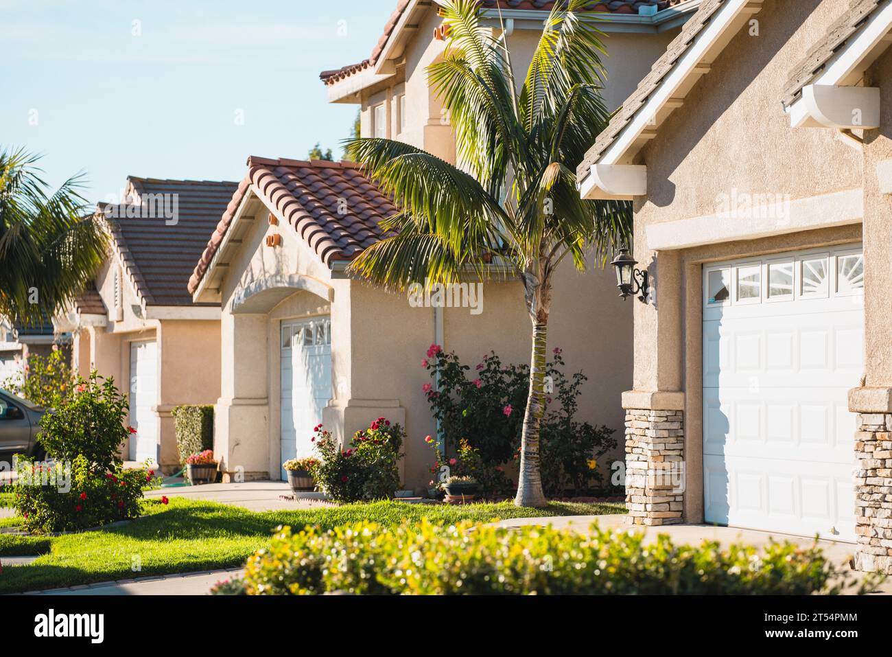 Beautiful houses with nicely landscaped front yard. Architecture ...