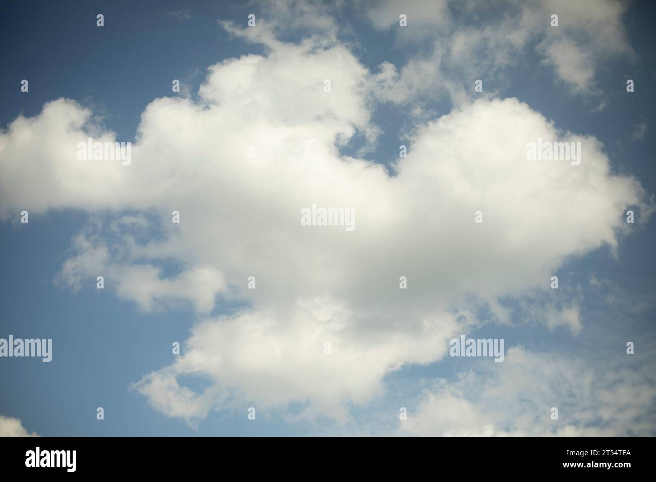 Clouds in the sky. Summer weather. Light clouds in blue sky ...
