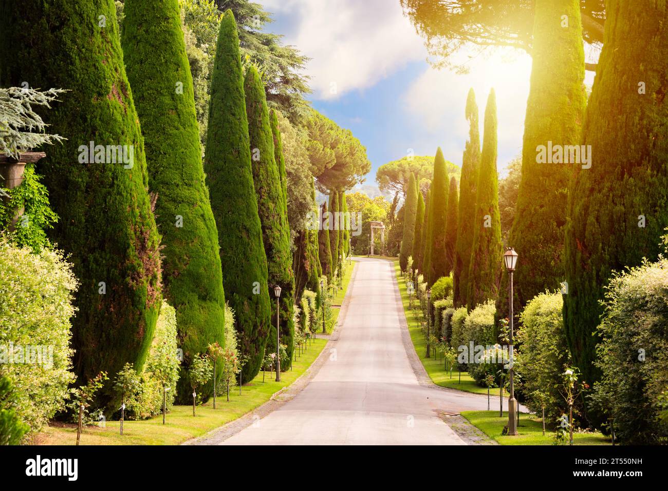 Park in Italy, landscape design of the papal garden Stock Photo - Alamy