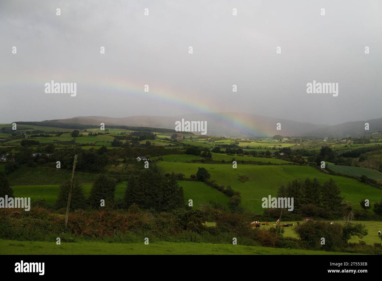 Irish landscape: meadows separated by hedges, hills, rain and a rainbow ...