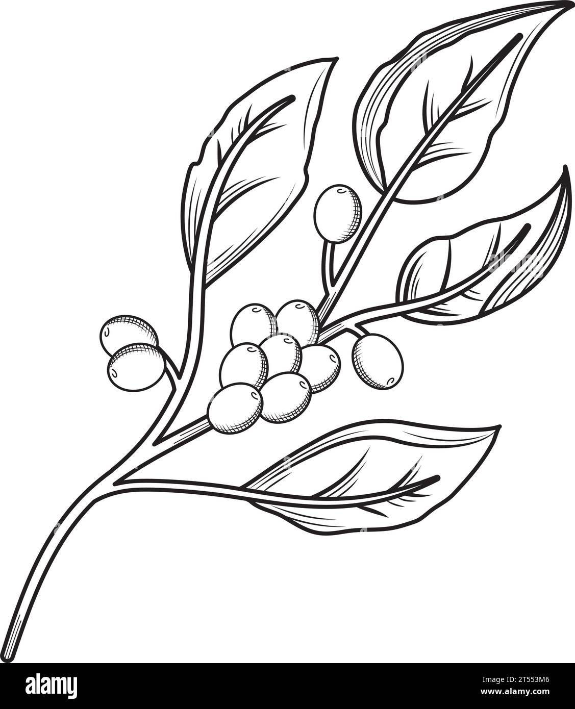 coffee tree draw Stock Vector Image & Art - Alamy
