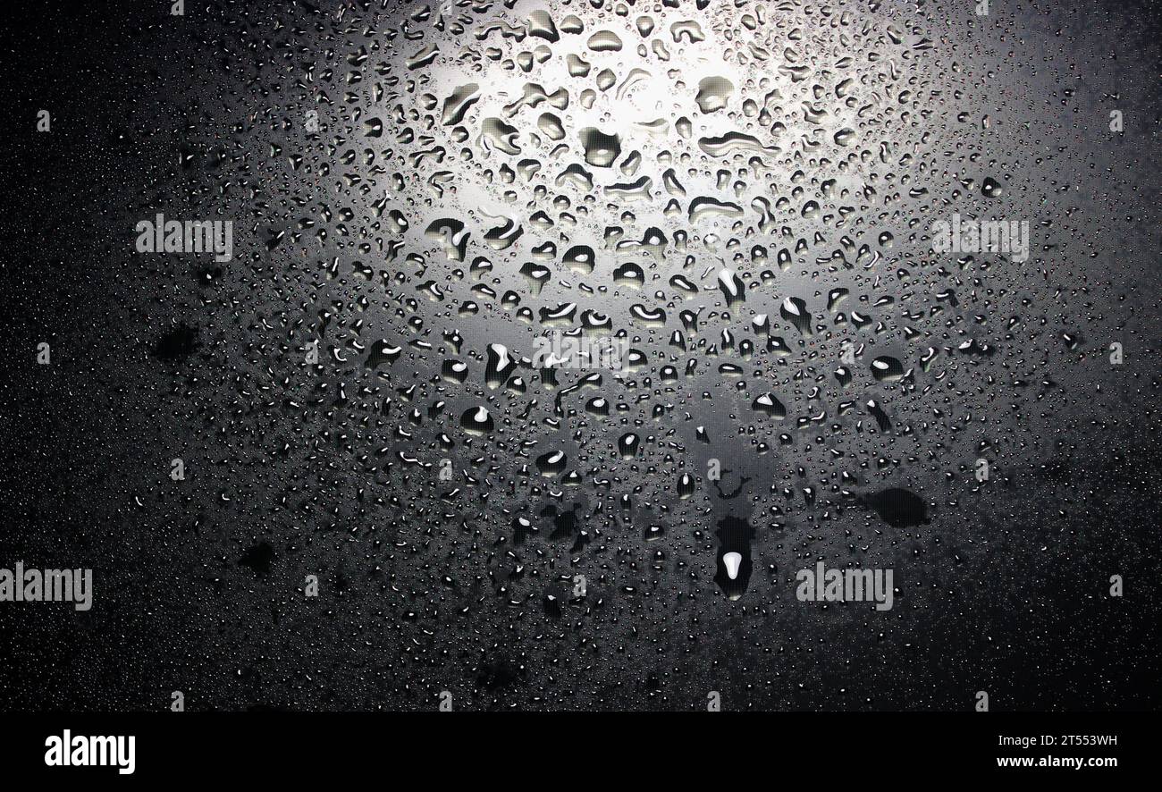 The square honeycomb structure is visible through liquid droplets on a ...