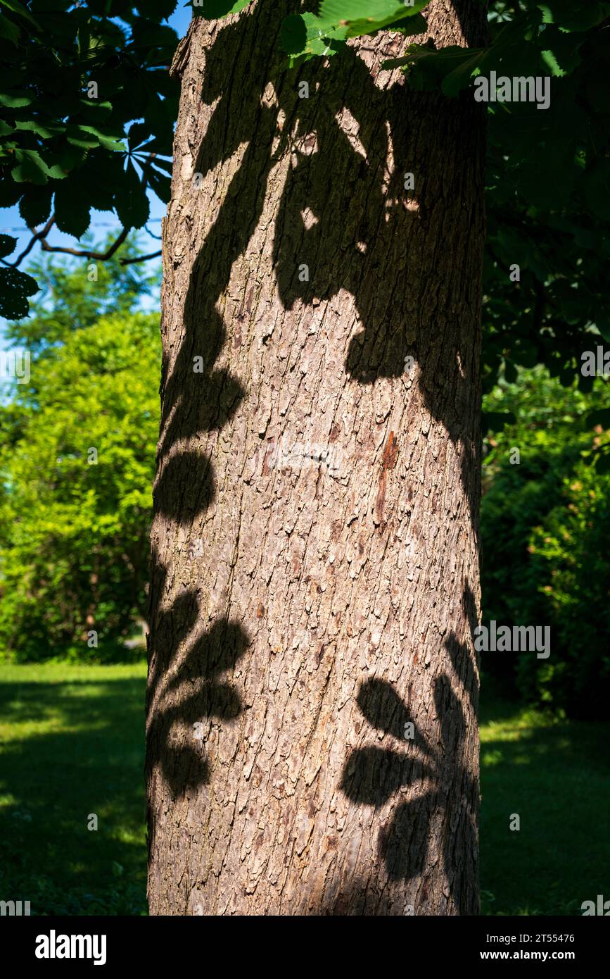 Seneca Falls a Hamlet in New York State, USA Stock Photo - Alamy