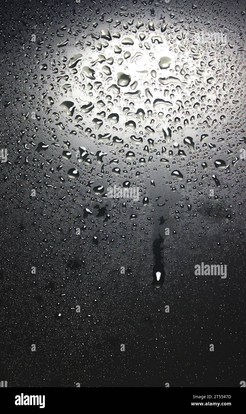 Thin Square Grid Structure In Water Drops On Matt Black Surface ...