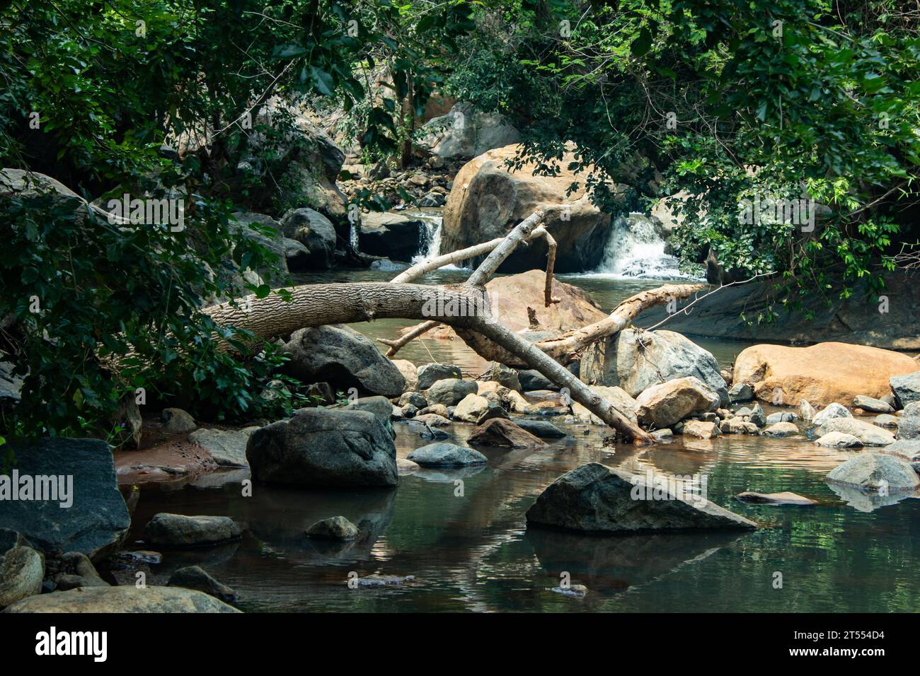 Kalvarayan hills hi-res stock photography and images - Alamy