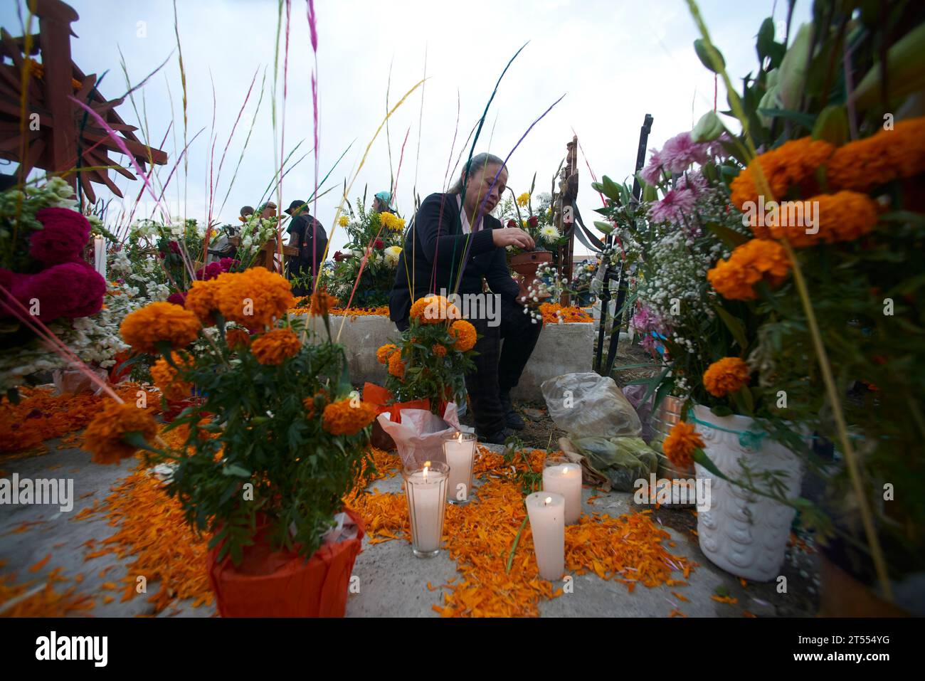Mexico City, Mexico. 2nd Nov, 2023. Relatives decorate the tombs with ...