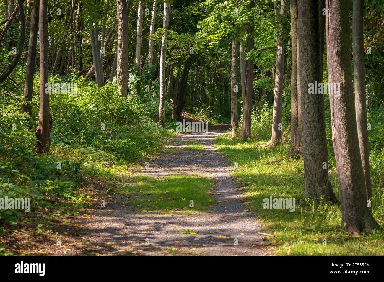 Seneca-Cayuga Canal Hiking Trail, New York, USA Stock Photo - Alamy