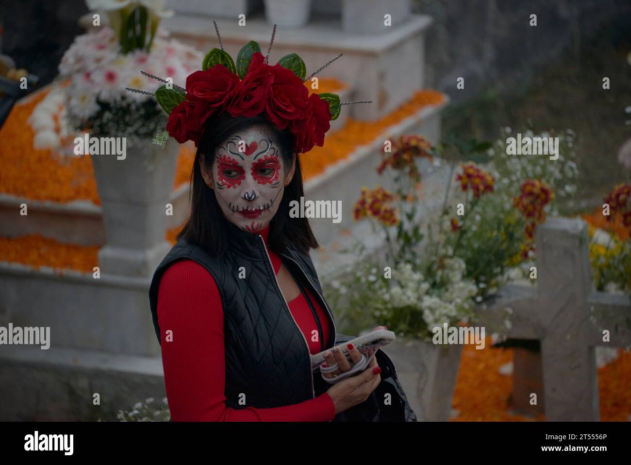 Mexico City, Mexico. 2nd Nov, 2023. Relatives decorate the tombs with ...