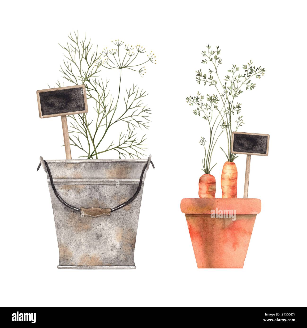Watercolor set of watercolor compositions with a rusty bucket, a flower ...