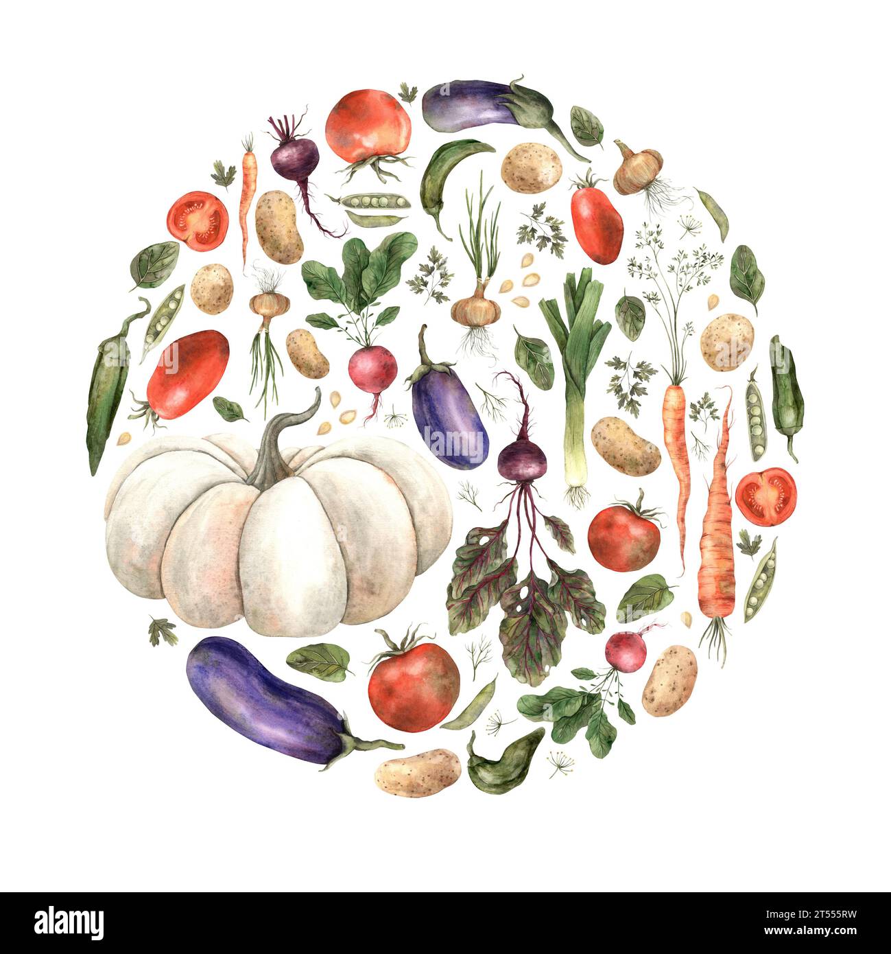 Watercolor round set of vegetables, pumpkin, eggplant, onion, beet ...