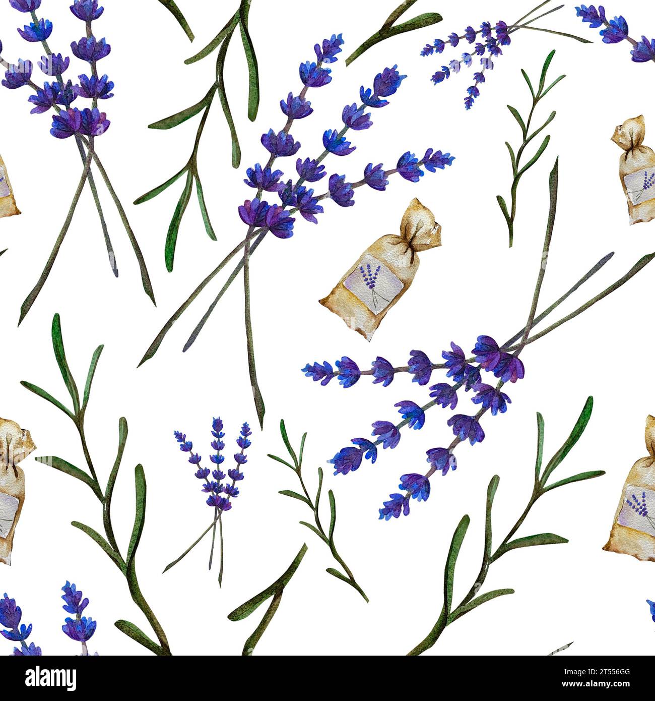 Wildflower lavender flower pattern in a watercolor style. Aquarelle ...