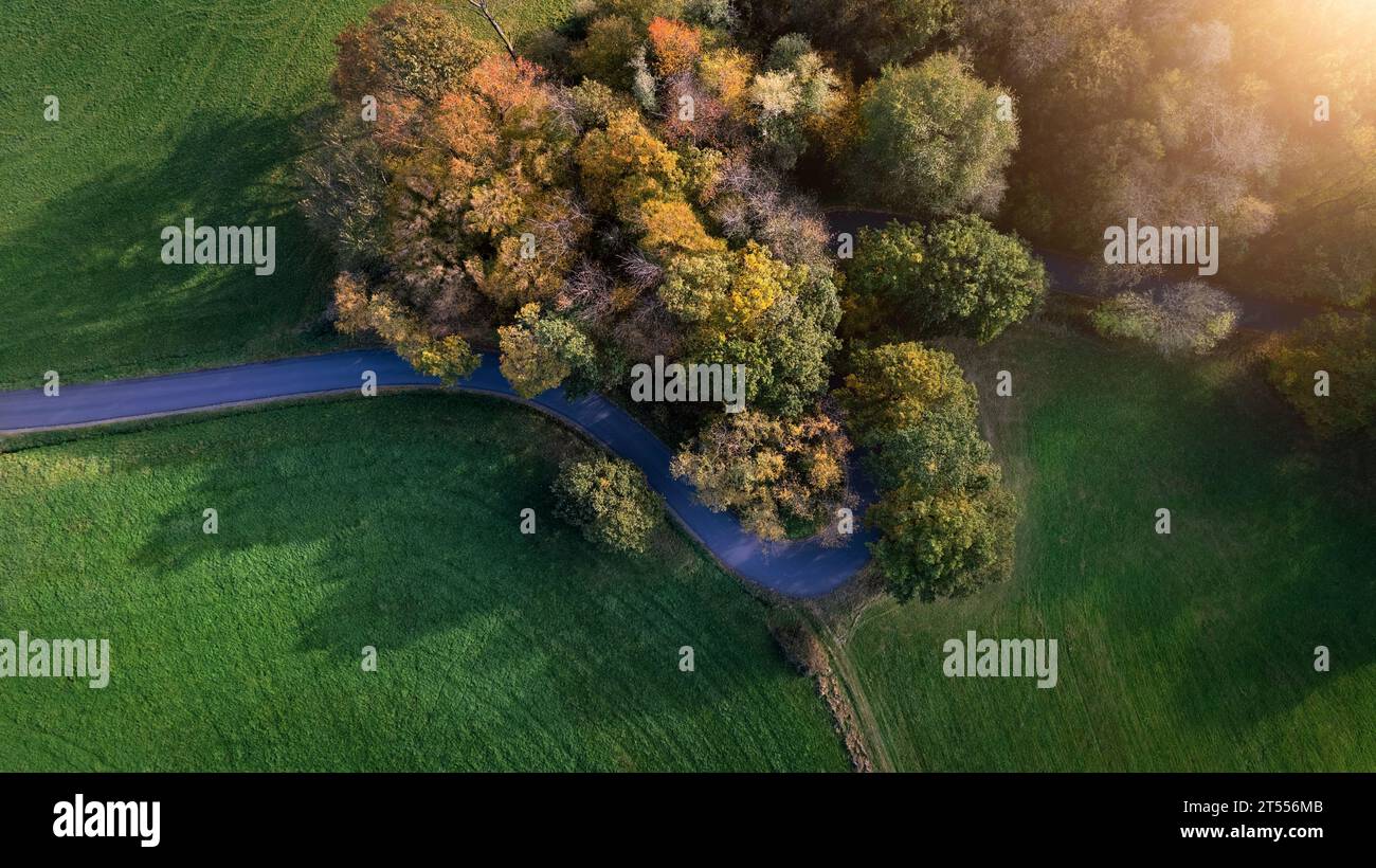 Winding road through the woods in autumn colors in Germany in fall ...