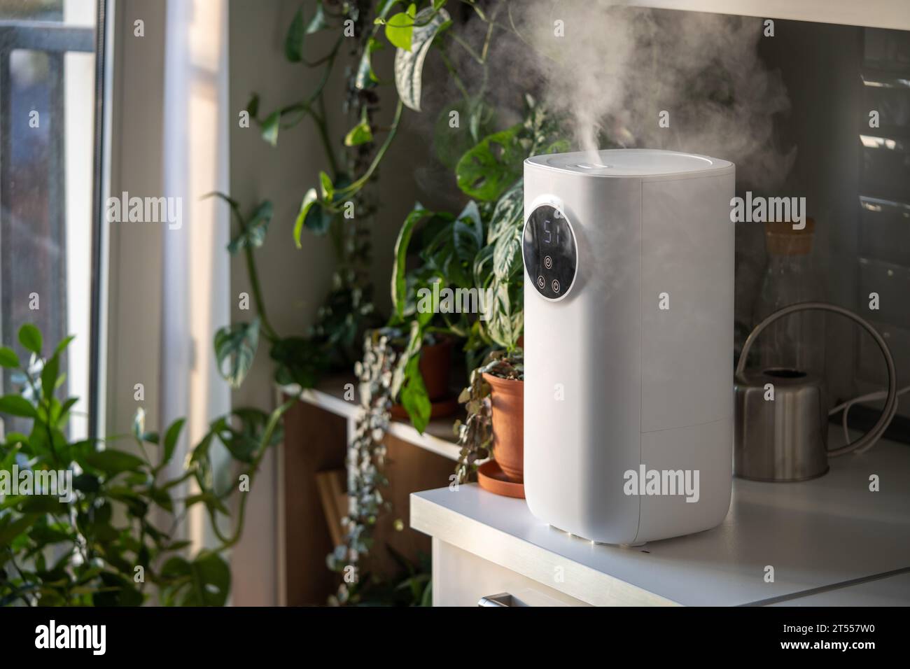 Modern humidifier at home, moistens dry air surrounded by indoor plant ...