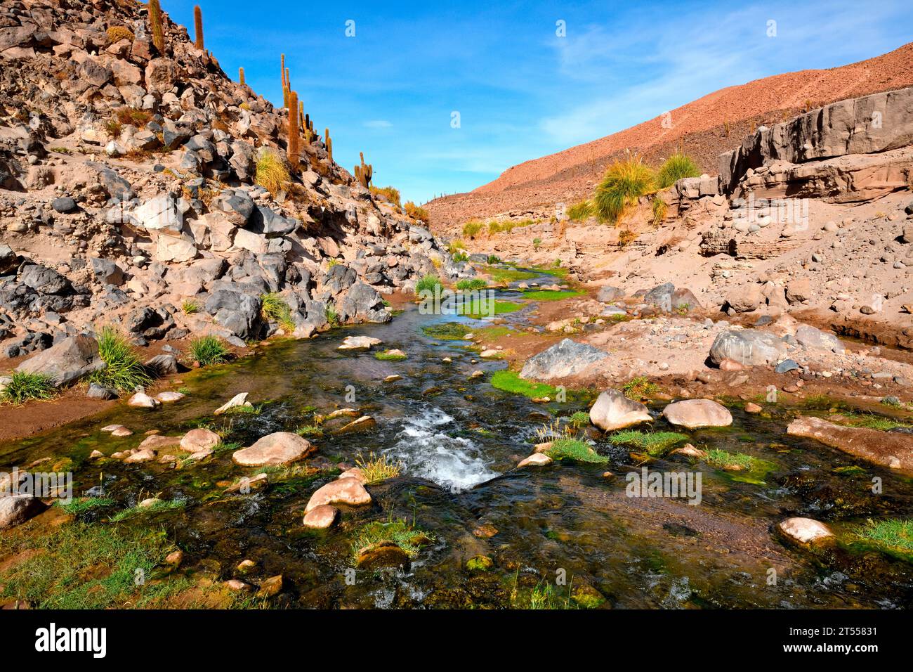 Guatin Canyon, Rio Puritama, Atacama, Chile Stock Photo - Alamy