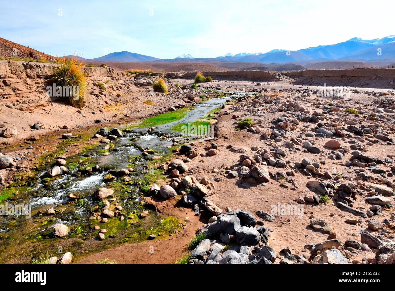 Guatin Canyon, Rio Puritama, Atacama, Chile Stock Photo - Alamy