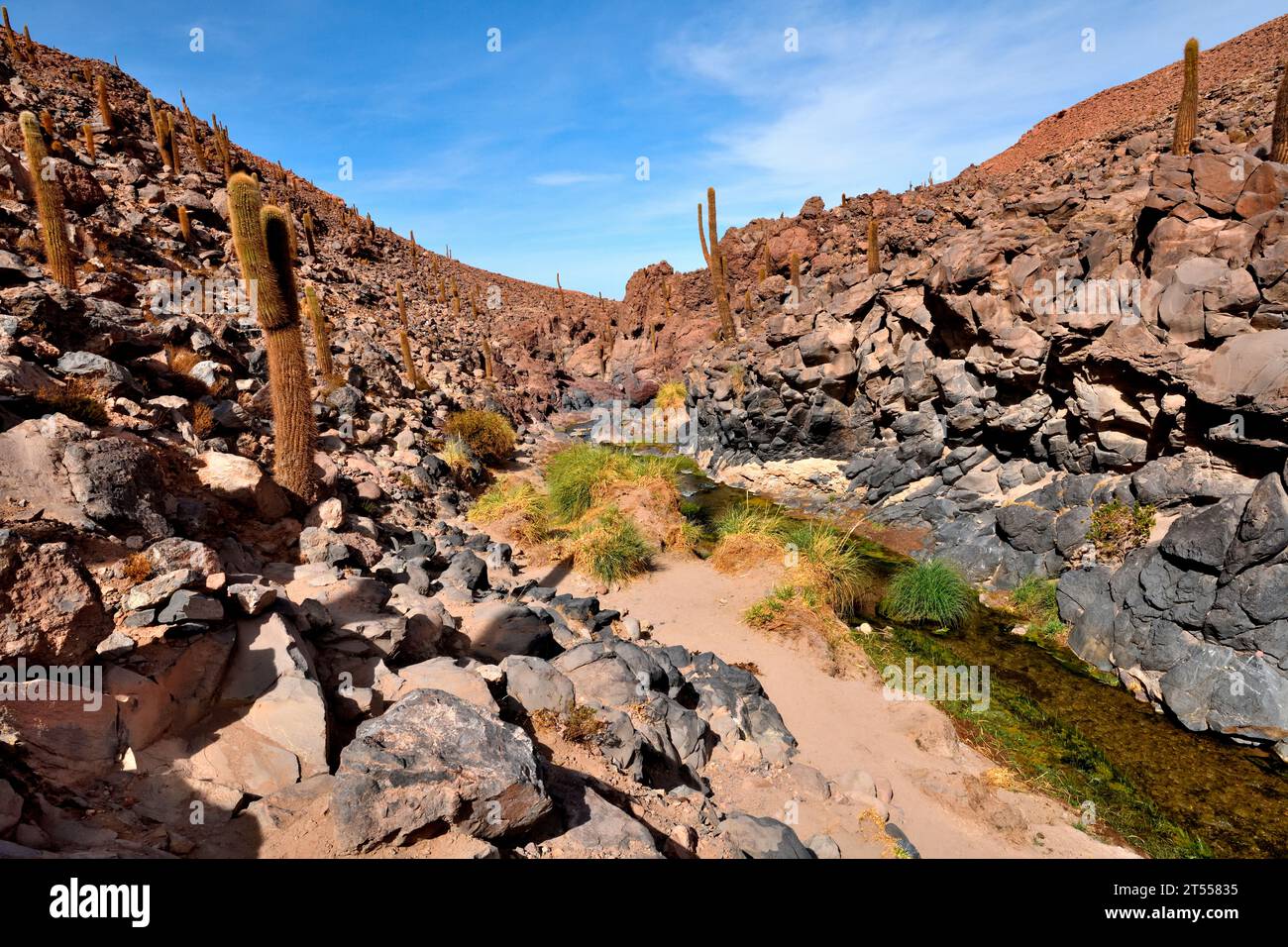 Guatin Canyon, Rio Puritama, Atacama, Chile Stock Photo - Alamy