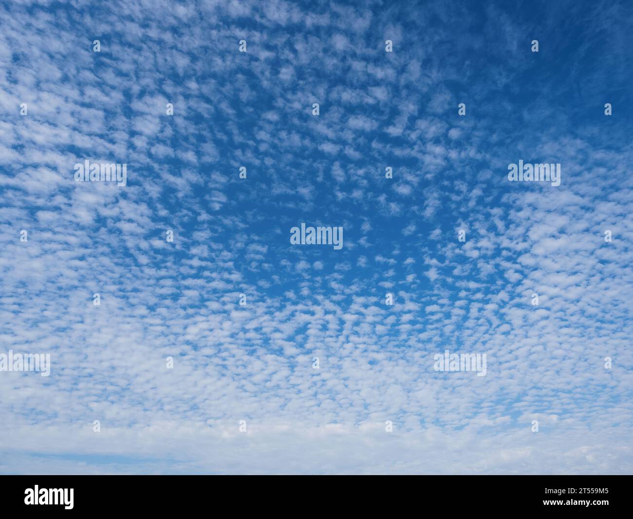 Blue sky with unusual fluffy abstract white clouds structure. Strange ...