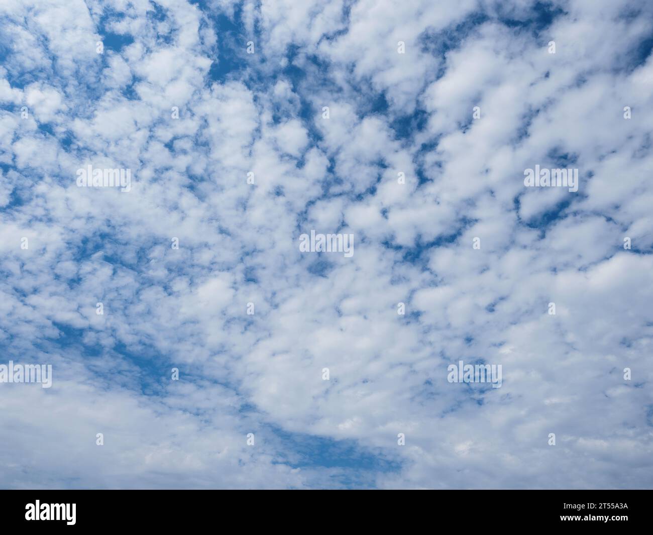 Blue sky with unusual fluffy abstract white clouds structure. Strange ...