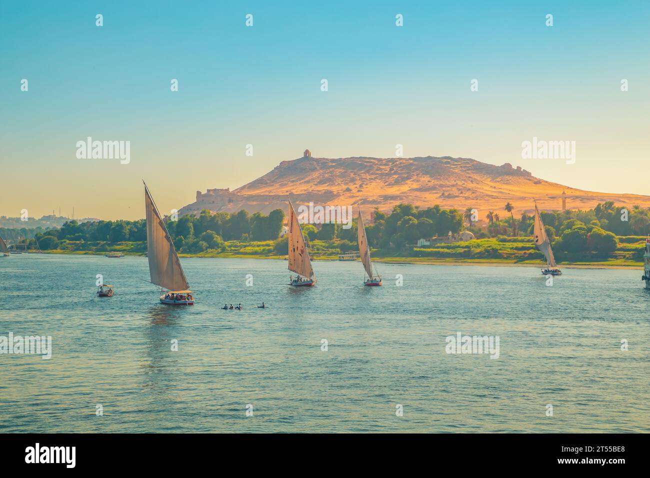 Traditional felucca boats on the Nile River. Magnificent view of the ...