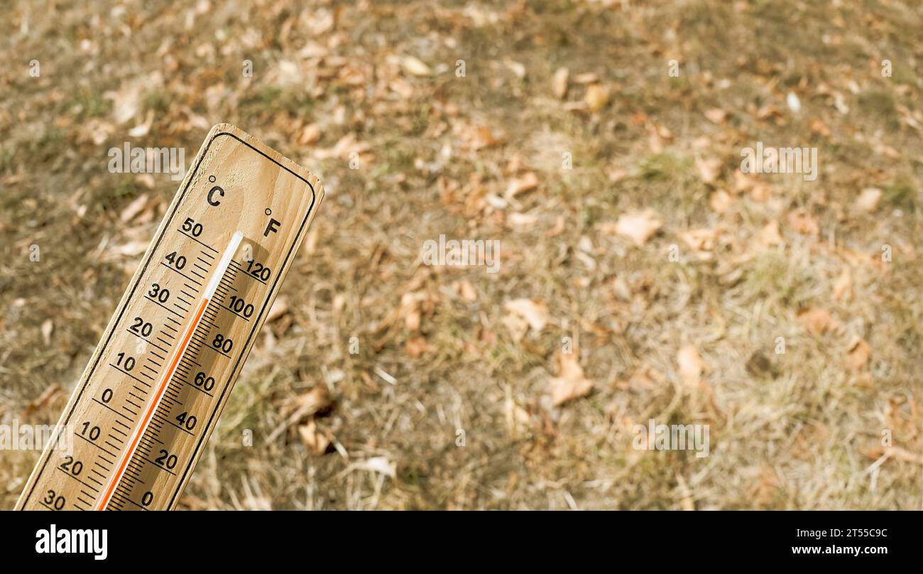 Wooden thermometer with red measuring liquid showing high temperatures ...
