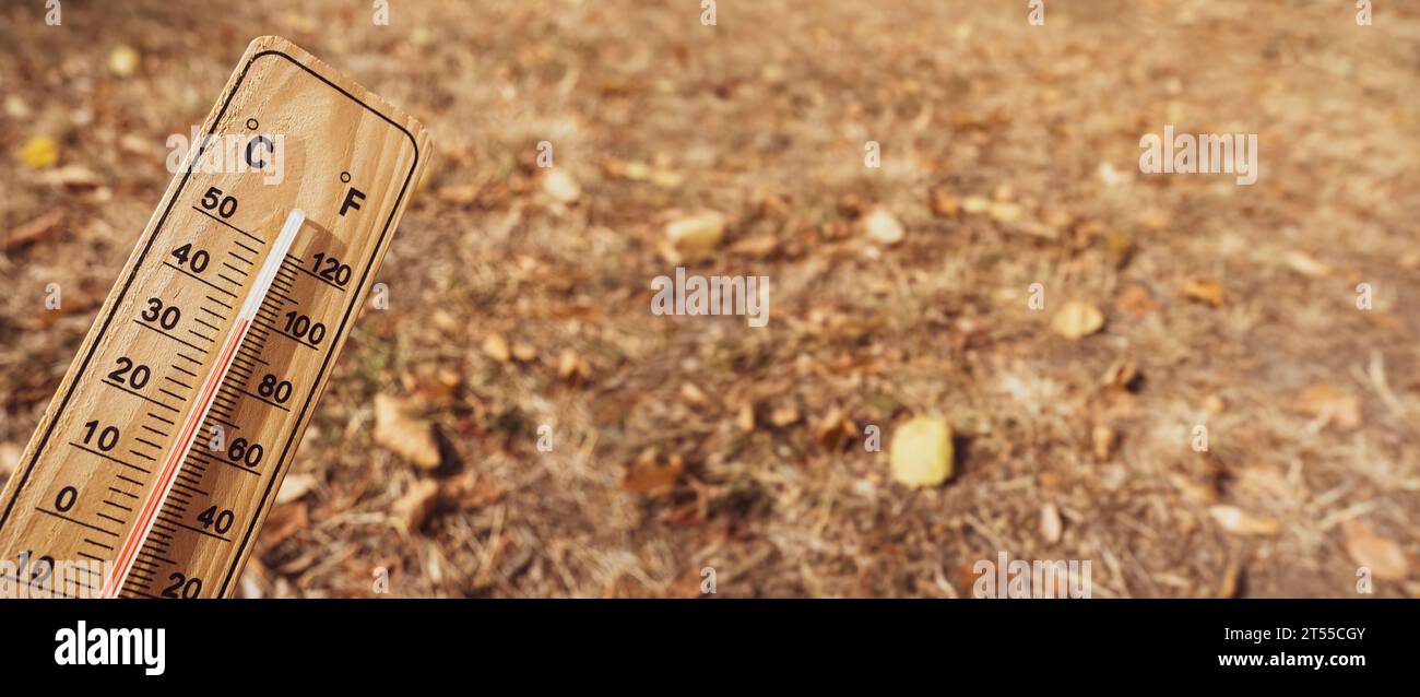 Wooden thermometer with red measuring liquid showing high temperatures ...