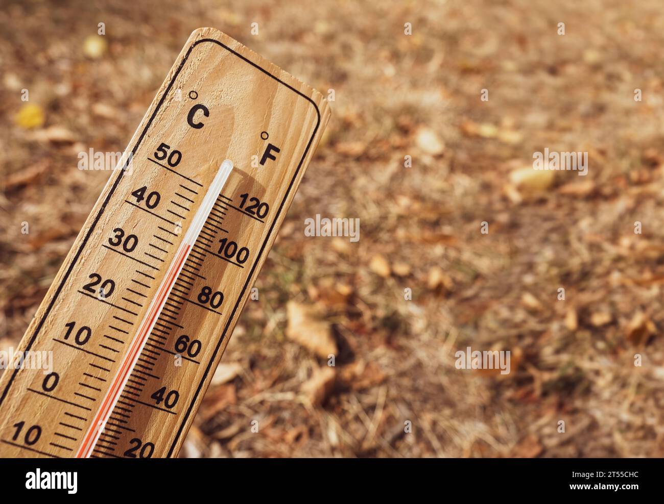Wooden thermometer with red measuring liquid showing high temperatures ...