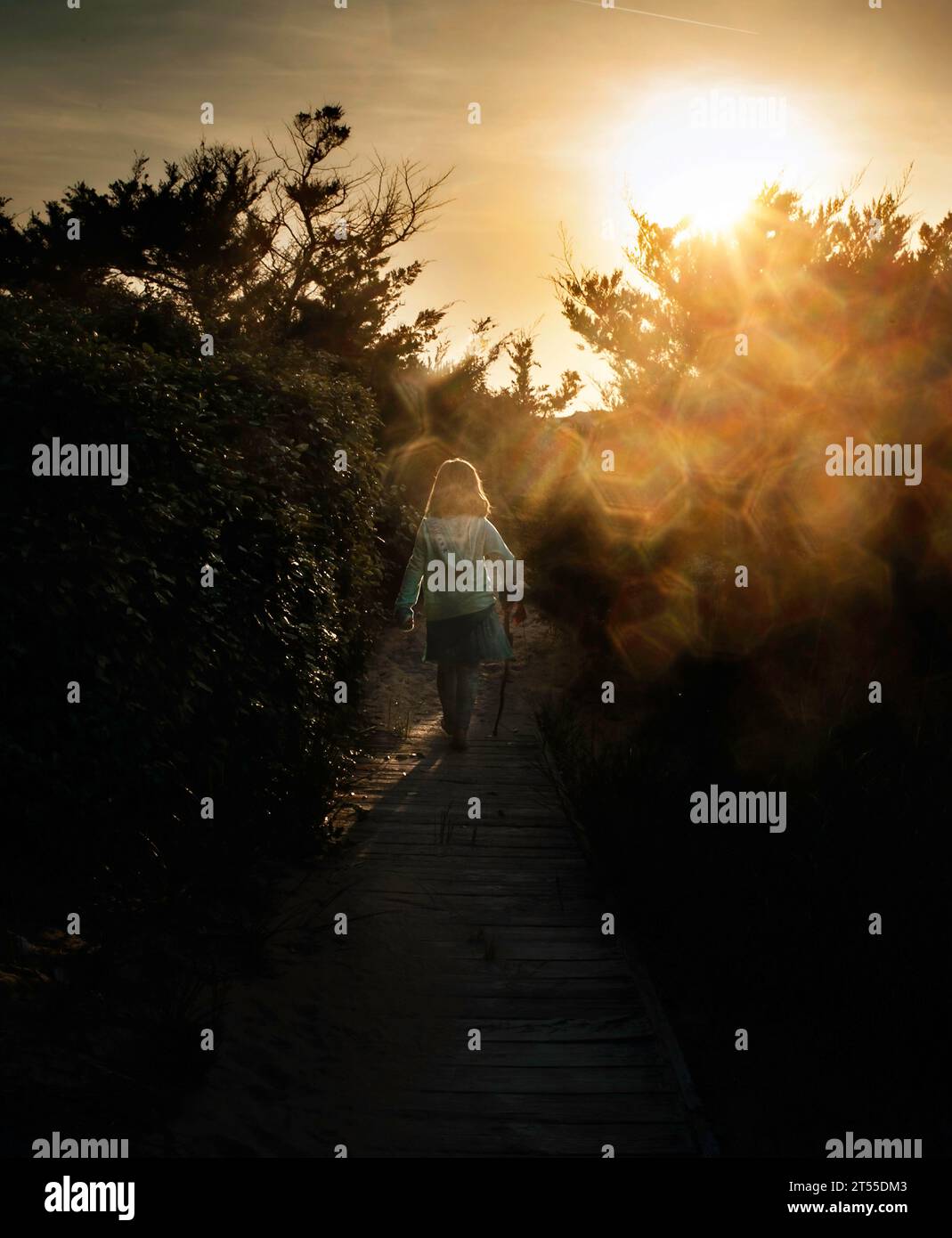 Walking down boardwalk hi-res stock photography and images - Alamy