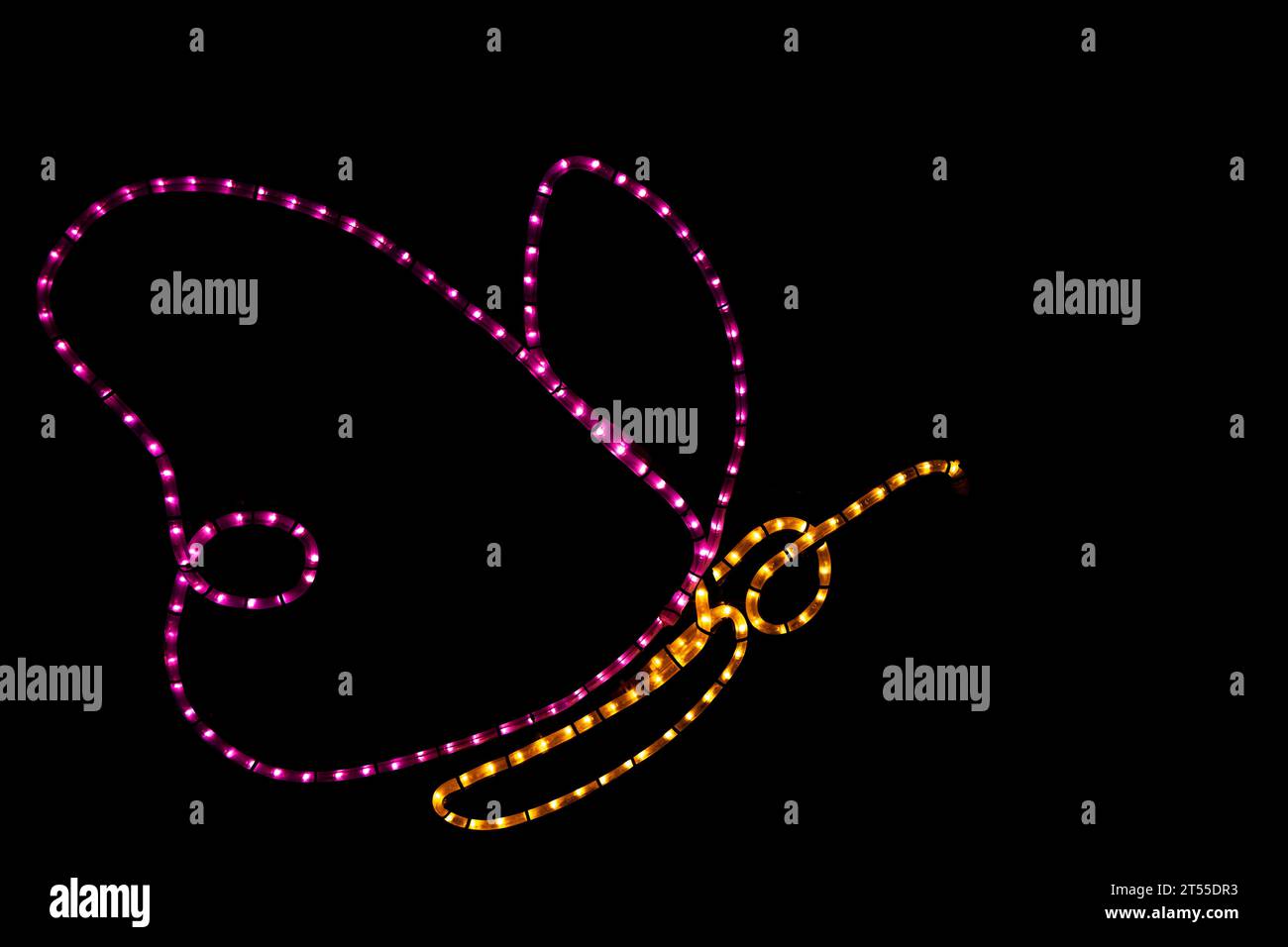 Illuminated neon in the shape of a butterfly, LED lamp on a black ...
