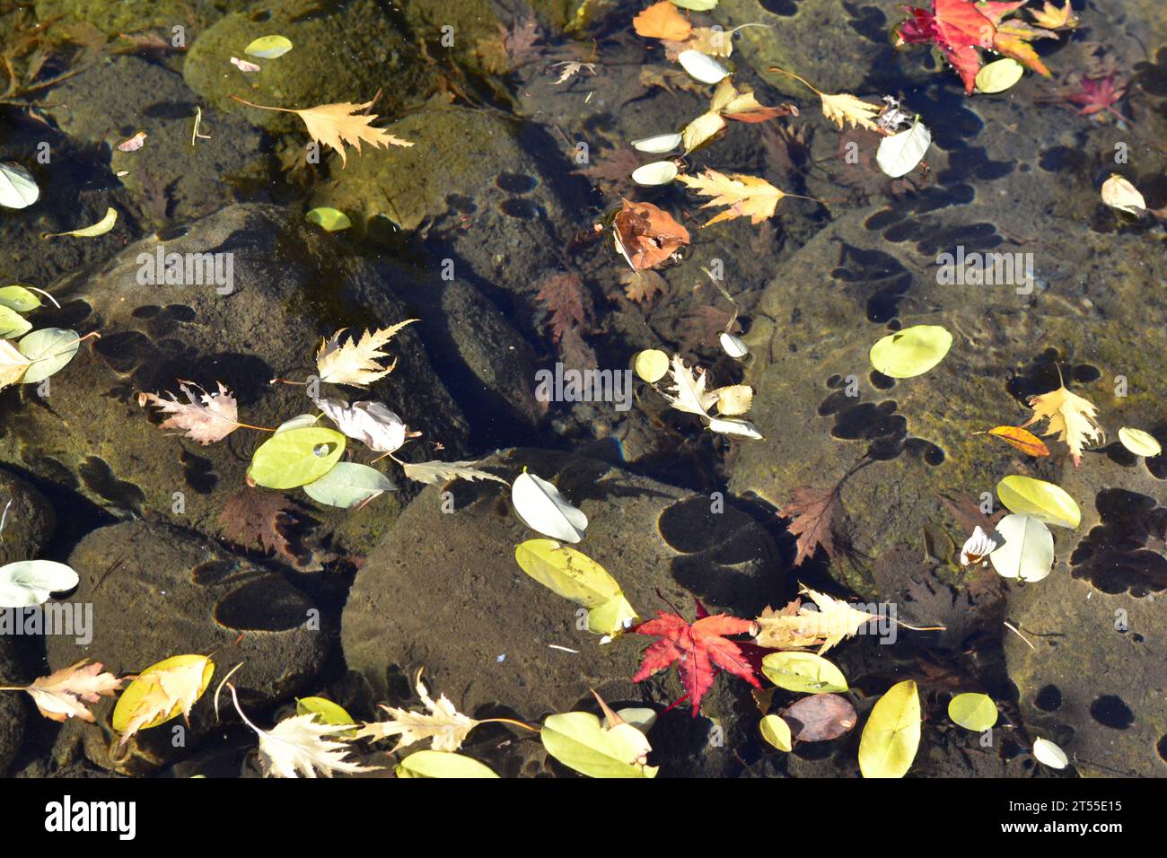 Floating floating hi-res stock photography and images - Alamy