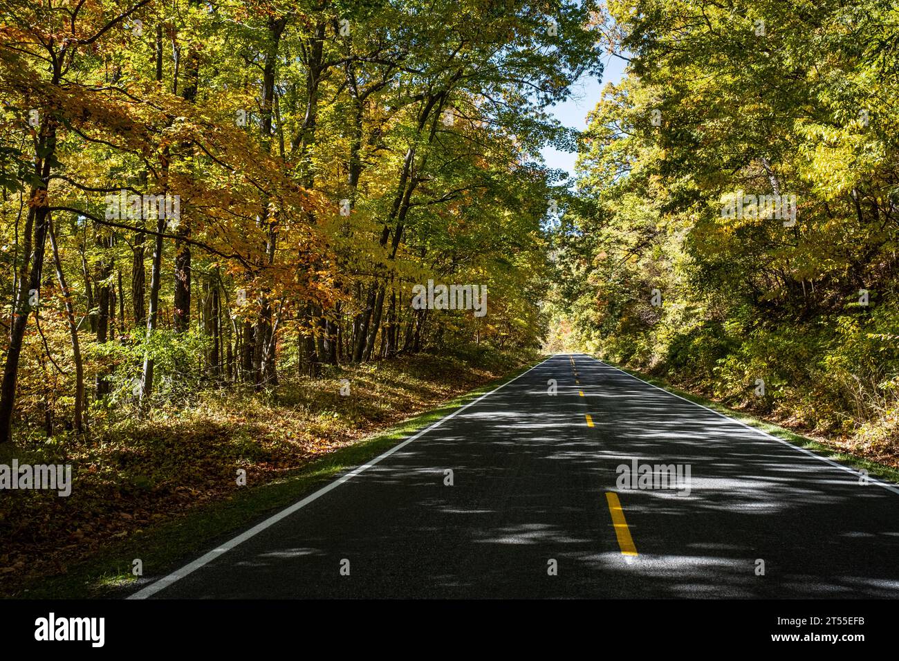 Road lined with trees with vibrant fall foliage Stock Photo - Alamy