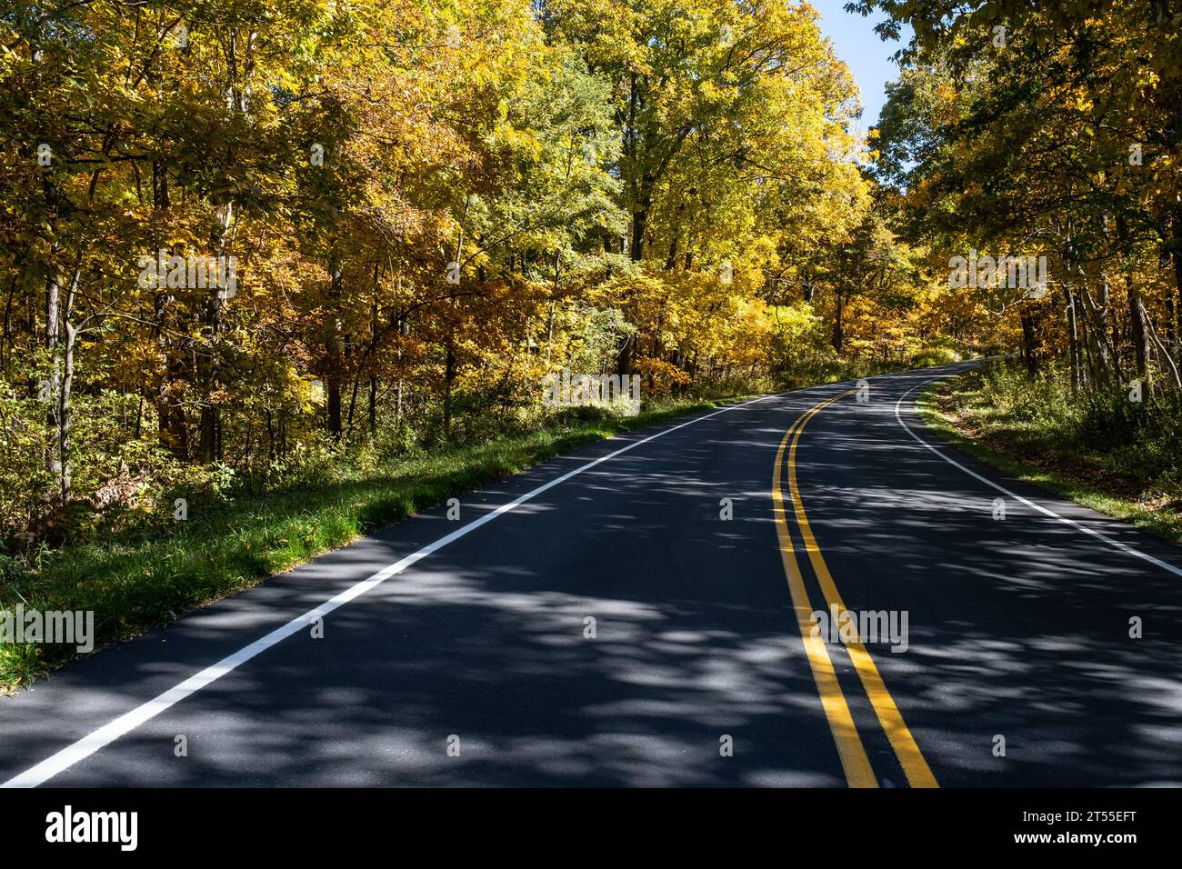 Road lined with trees with vibrant fall foliage Stock Photo - Alamy