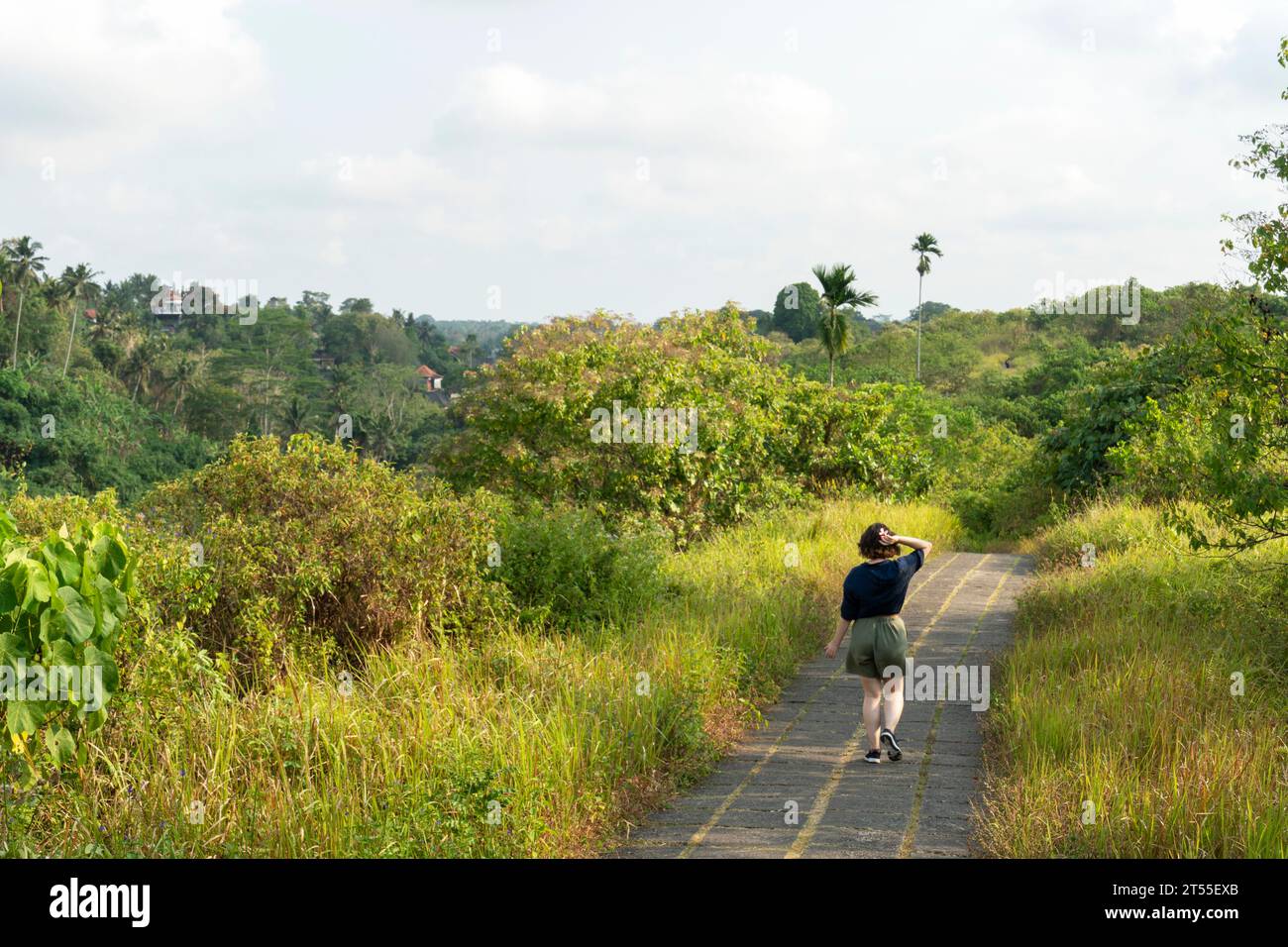 Walking in bali rice field hi-res stock photography and images - Alamy