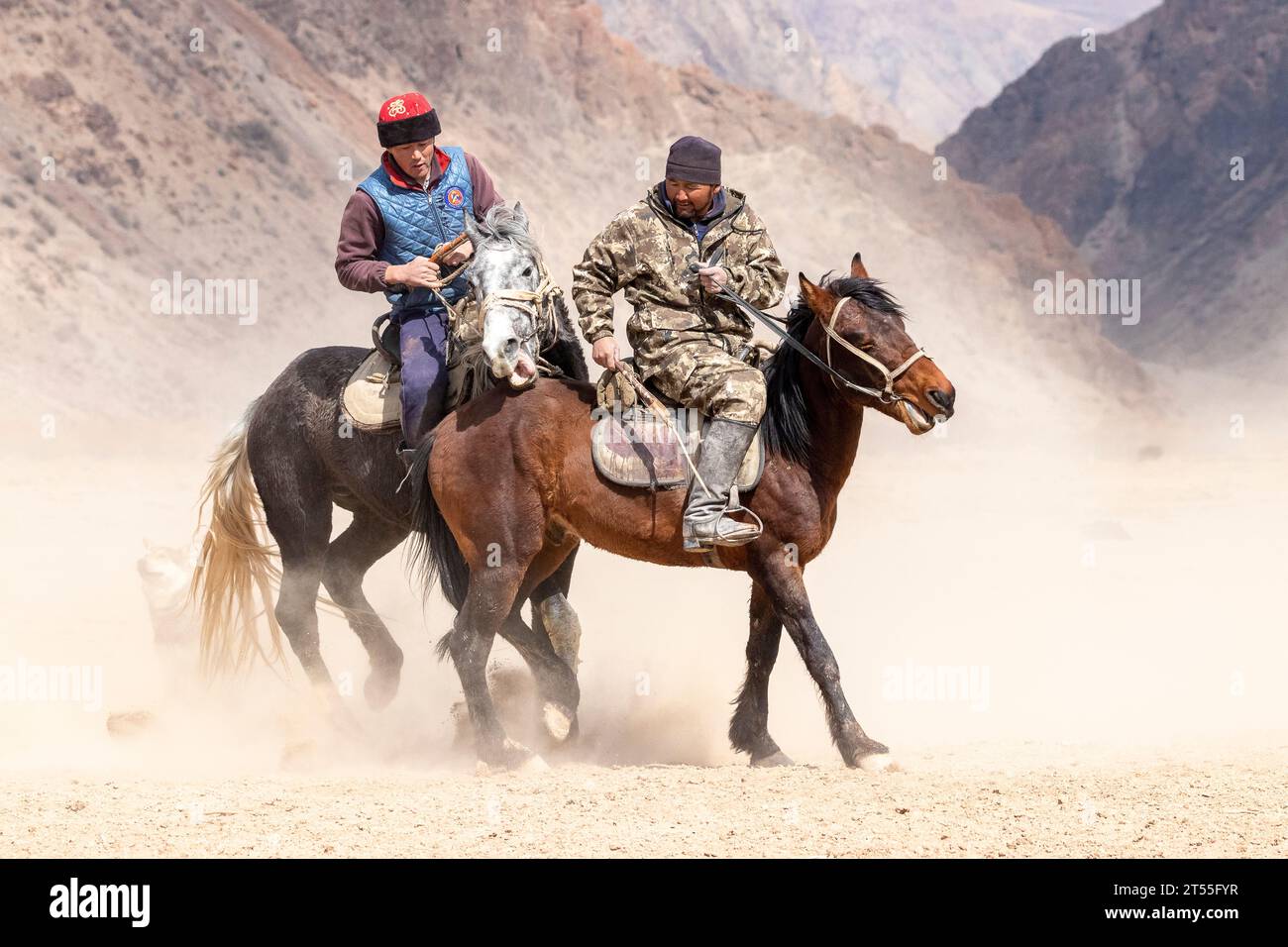 Riders at a game of Kok-boru (or Ulak-tartish or Buzkachi), Central ...