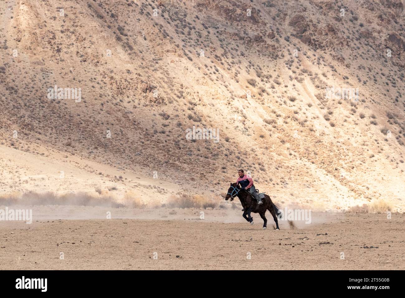 Riders at a game of Kok-boru (or Ulak-tartish or Buzkachi), Central ...
