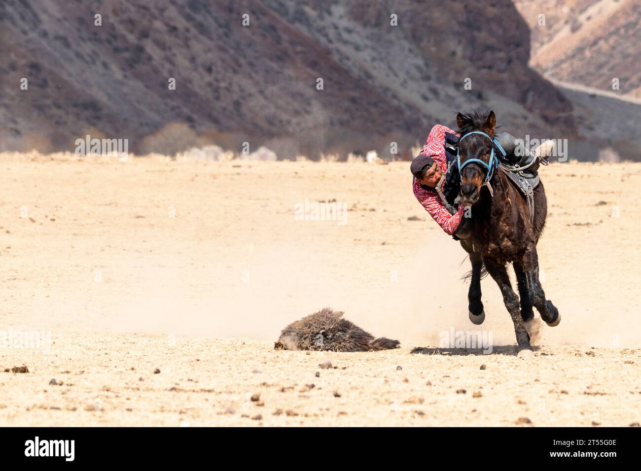 Riders at a game of Kok-boru (or Ulak-tartish or Buzkachi), Central ...