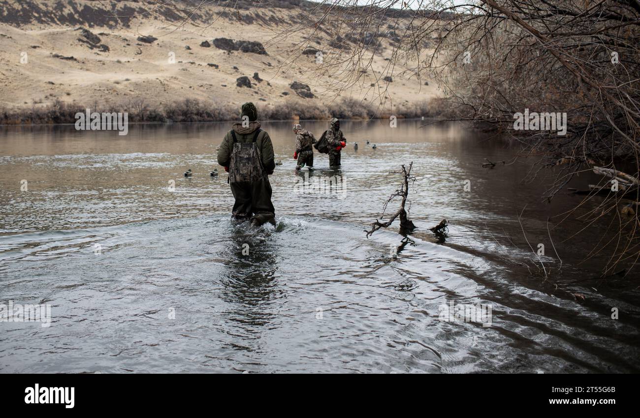 Three hunters search in river for a missing duck decoy together Stock ...