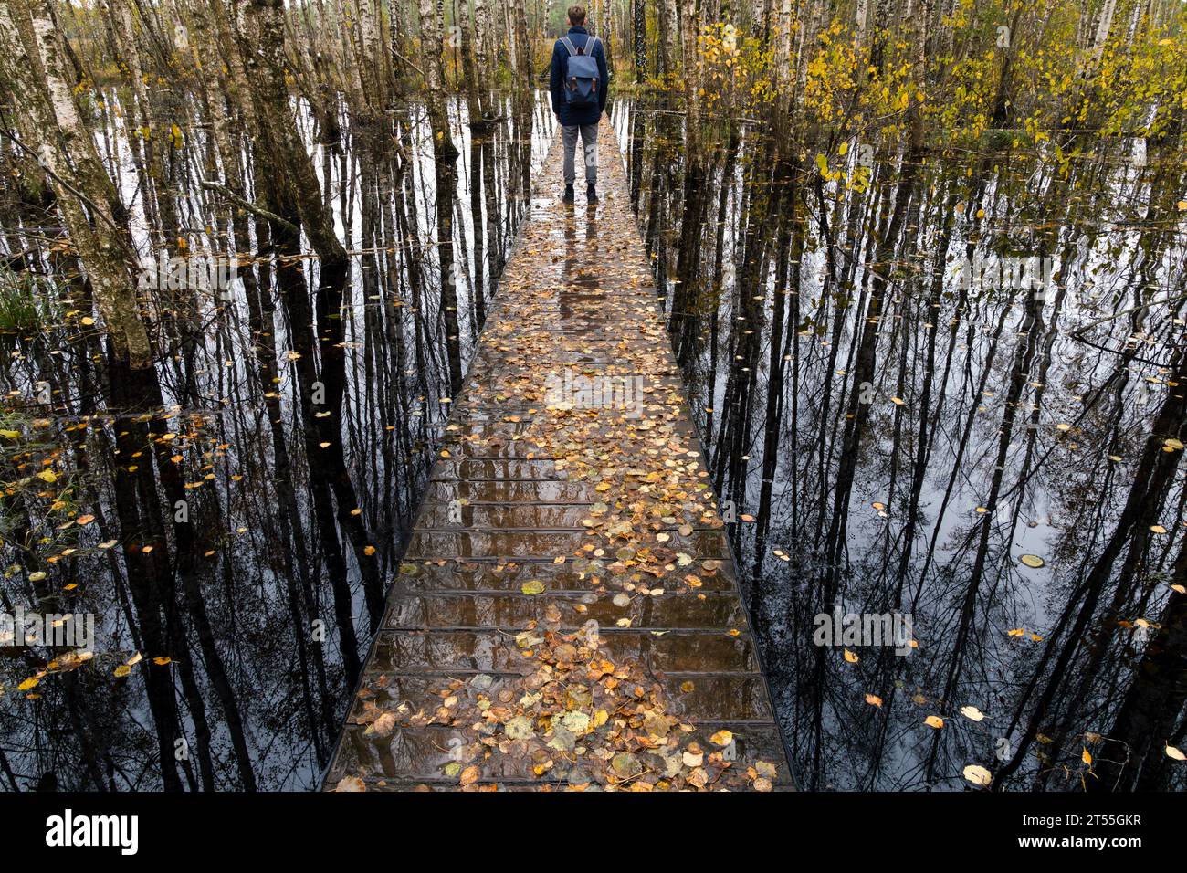 A man walking through a leafy path Stock Photo - Alamy