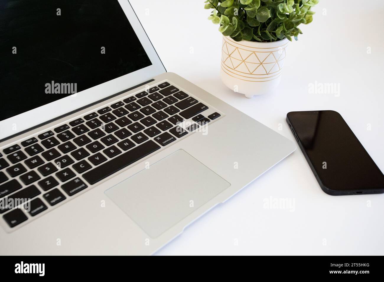 Dead plant on desk hi-res stock photography and images - Alamy