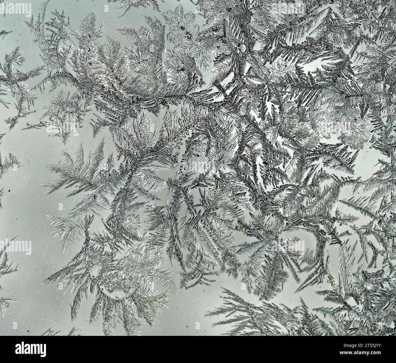 Ice crystals forming on glass in winter Stock Photo - Alamy