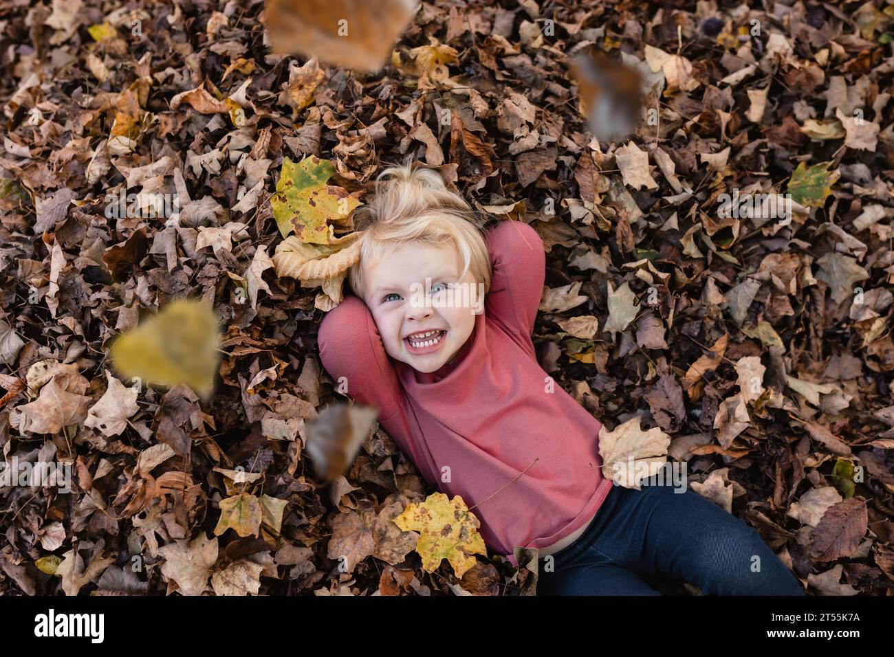 Smiling child laying in leaf pile as autumn leaves fall Stock Photo - Alamy