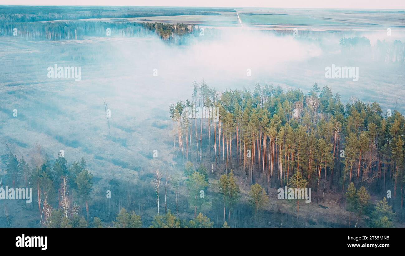Aerial View. Spring Dry Grass Burns During Drought Hot Weather. Bush ...