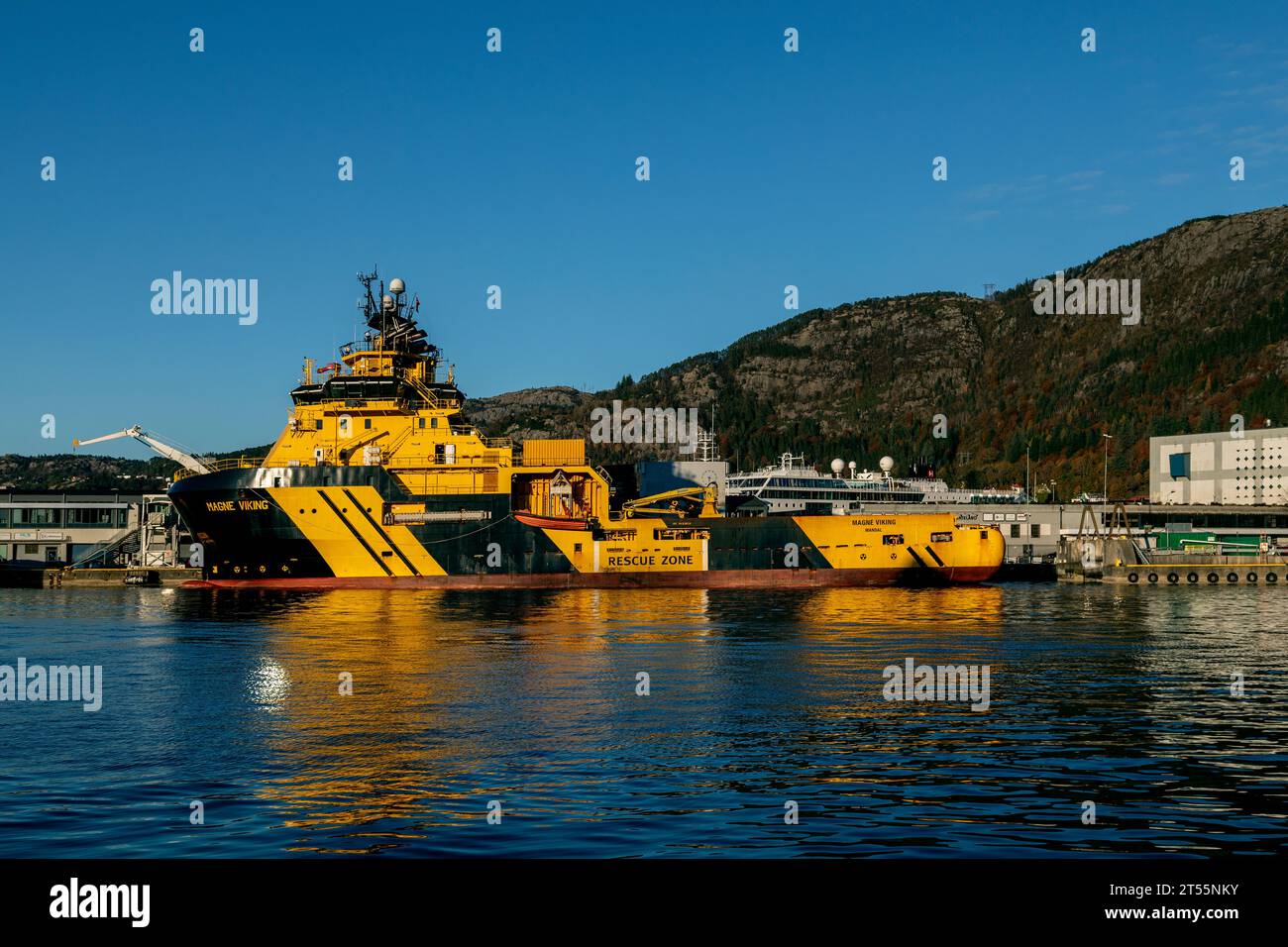 Magne viking hi-res stock photography and images - Alamy