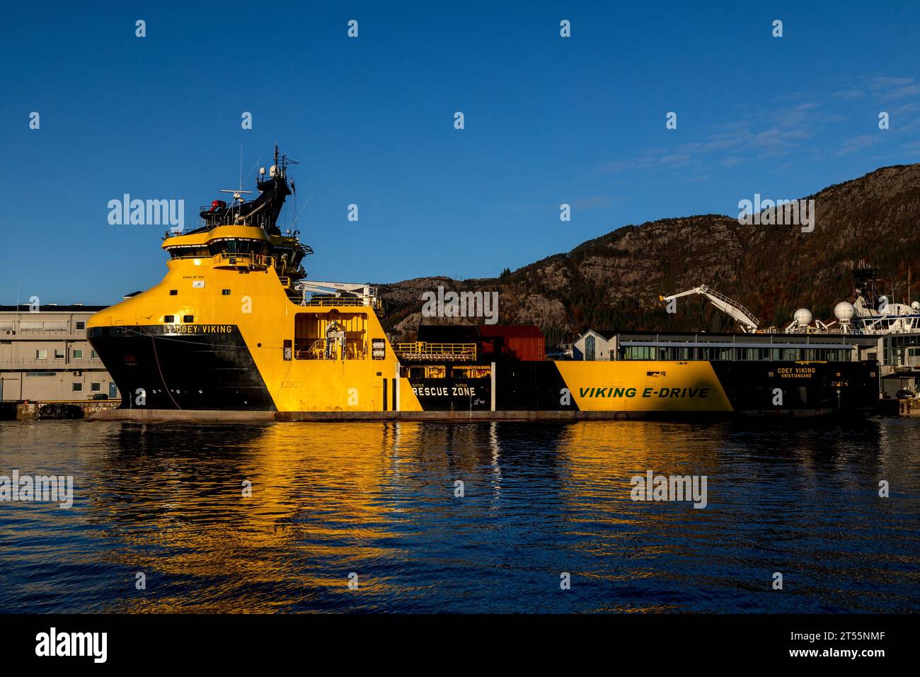 Viking coey viking hi-res stock photography and images - Alamy