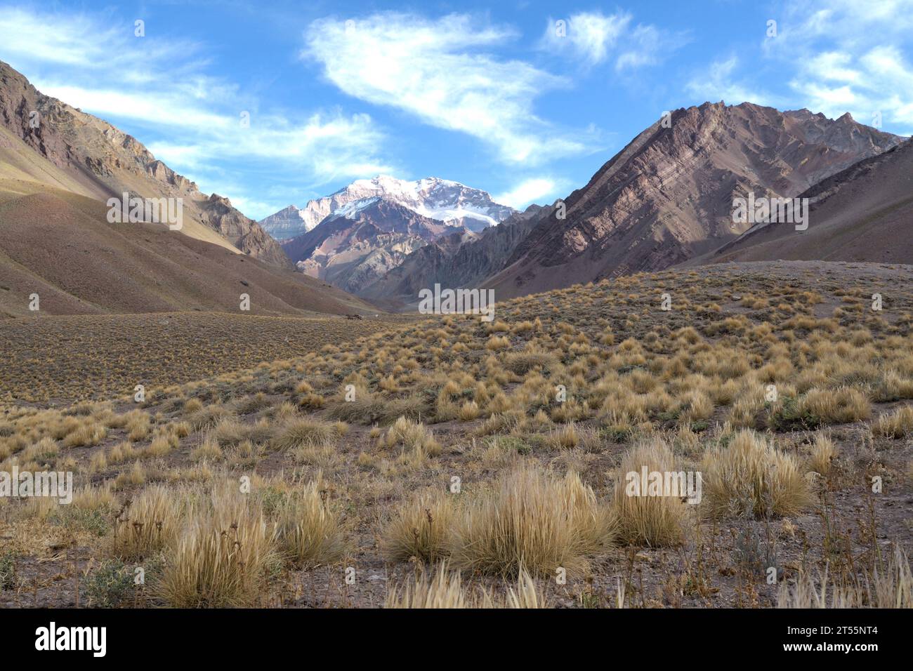 Aconcagua massif and summit, view of the Rio de los Horcones valley ...