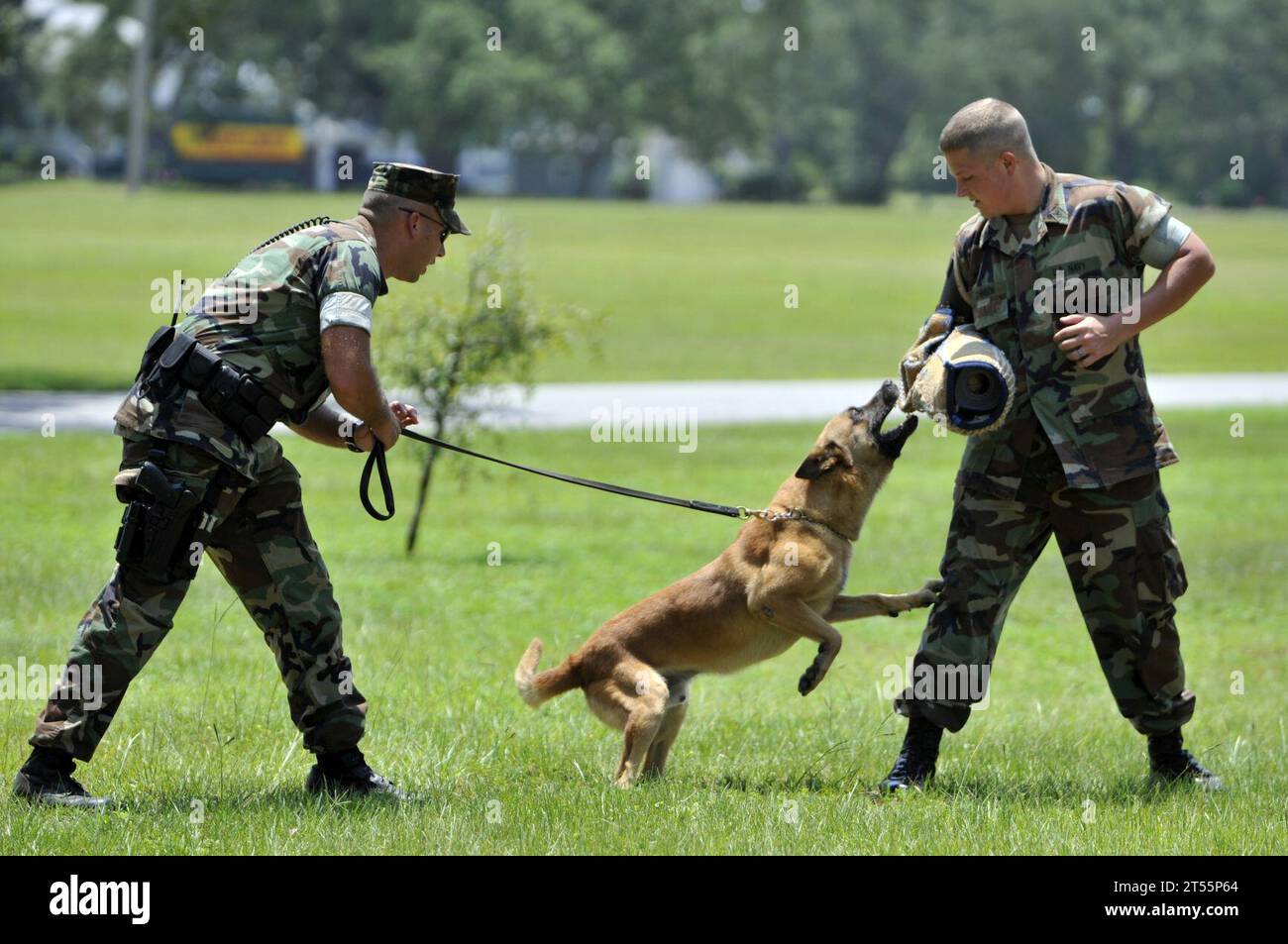 K-9, Security Force, training Stock Photo - Alamy