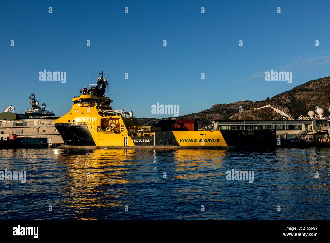 Viking coey viking hi-res stock photography and images - Alamy