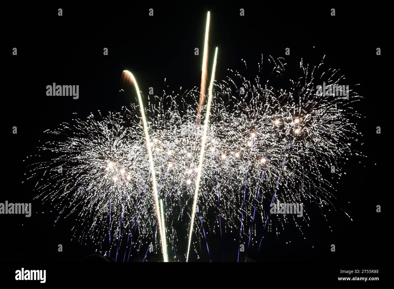 Fireworks in black night sky Stock Photo - Alamy