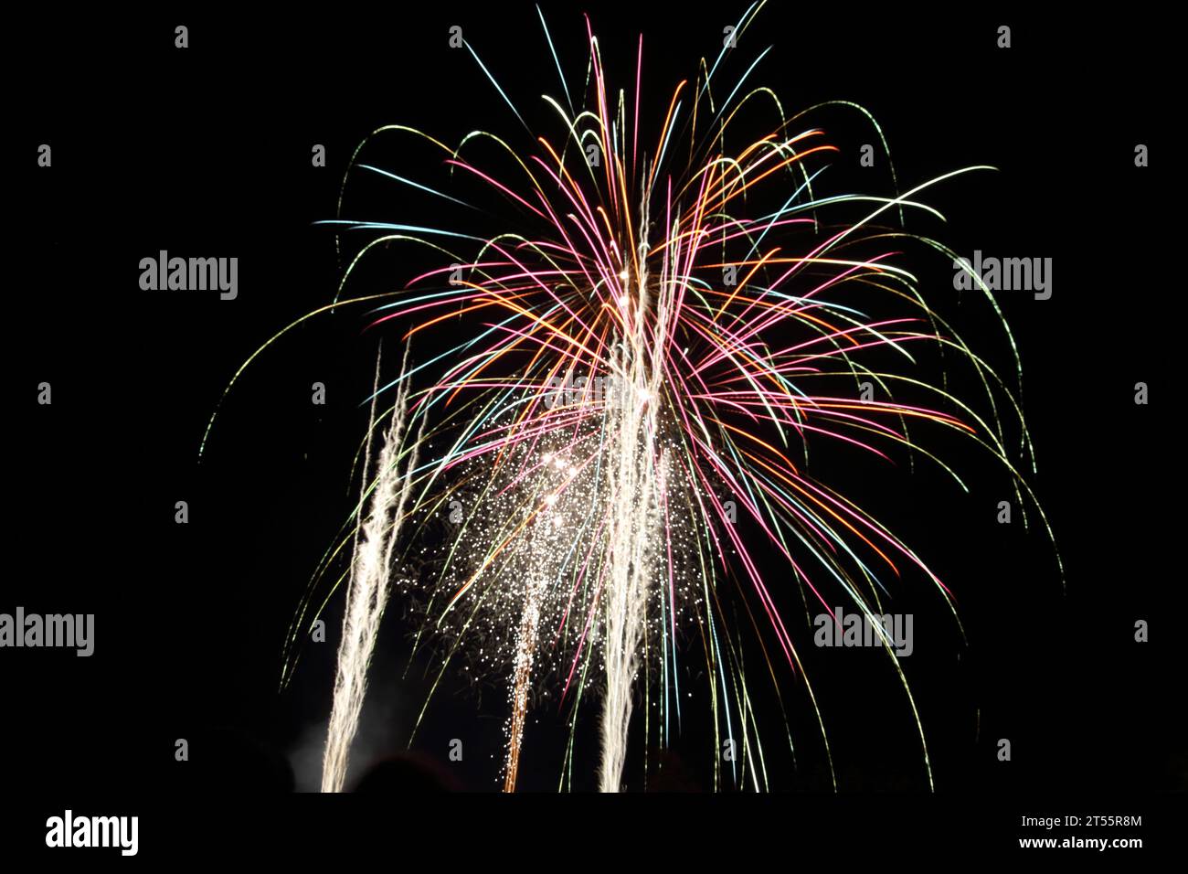 Fireworks in black night sky Stock Photo - Alamy