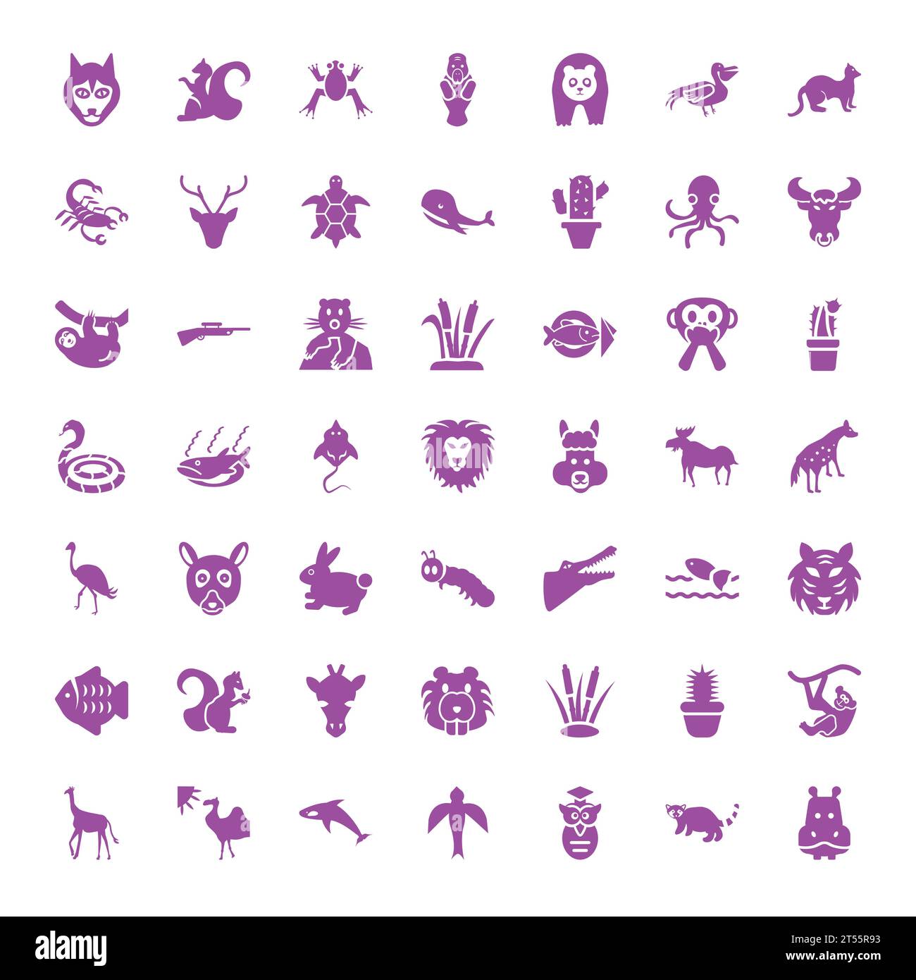 Squirrel hunting Cut Out Stock Images & Pictures - Alamy